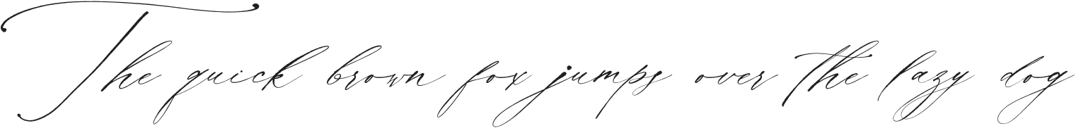 12 Stylish And Elegant Wedding Fonts (2025)