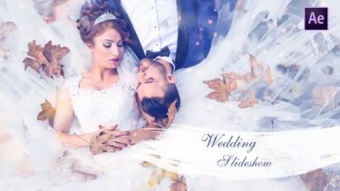 10 Best After Effects Wedding Templates of 2022