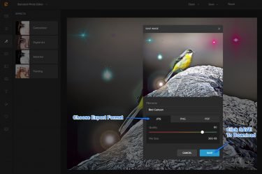 5 Best Websites To Convert Photos To Cartoons Online