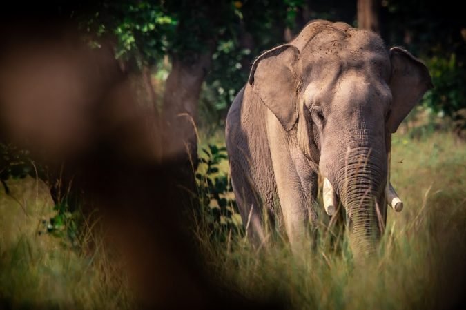 How To Find The Best Wildlife Photography Spots