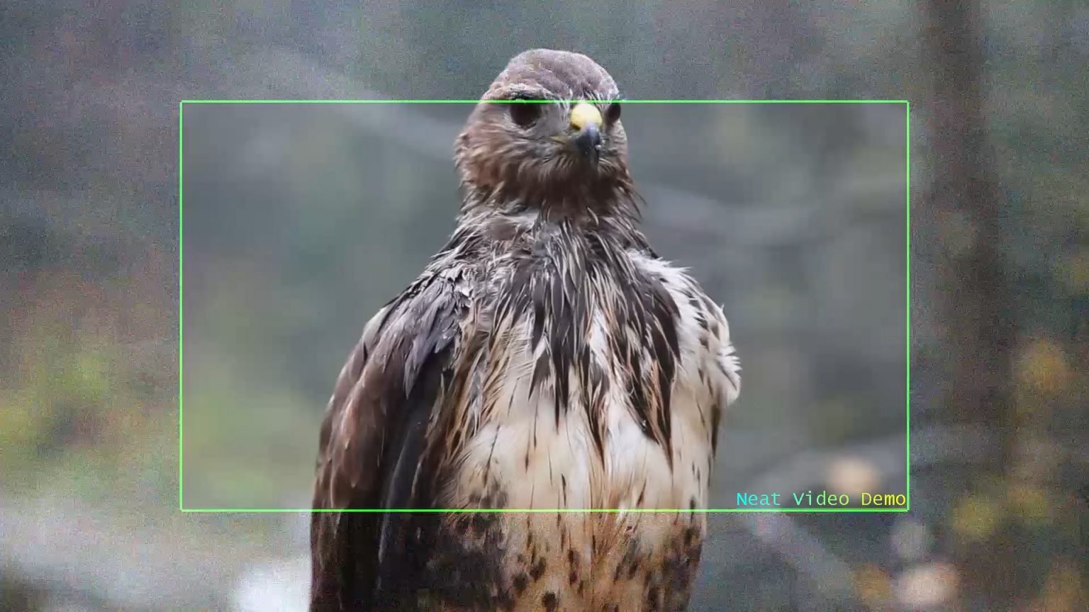 Neat Video Pro Review - The Ultimate Noise Reduction Tool