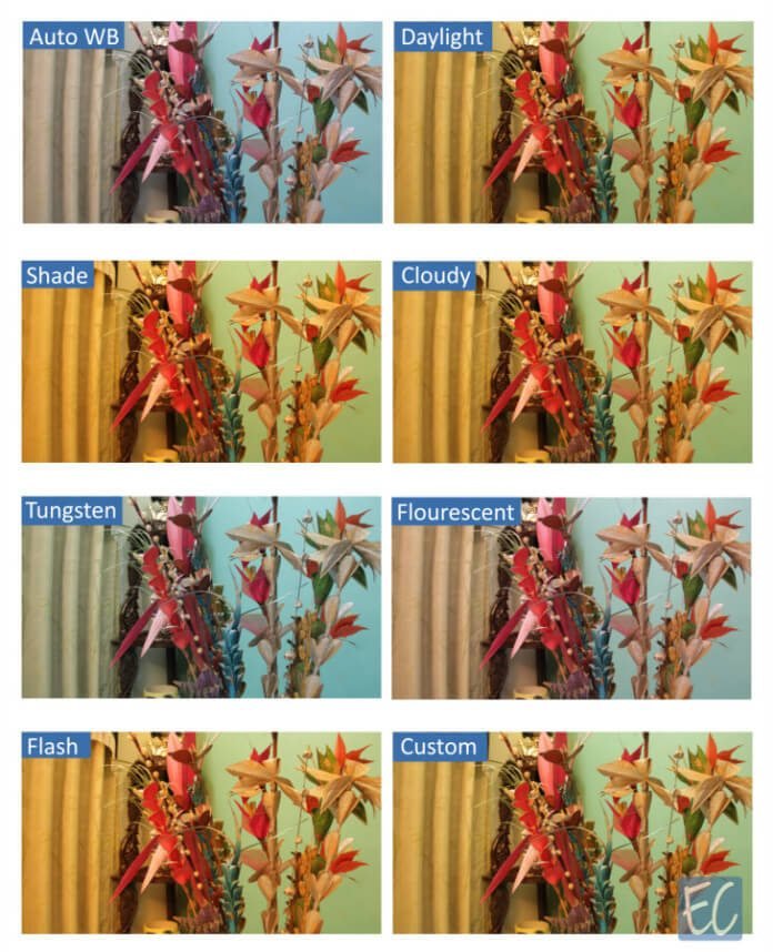 How To Set Your DSLR White Balance Correctly - Editingcorp