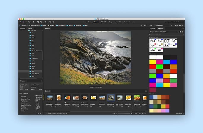 6 Best Photo Management Software of 2024