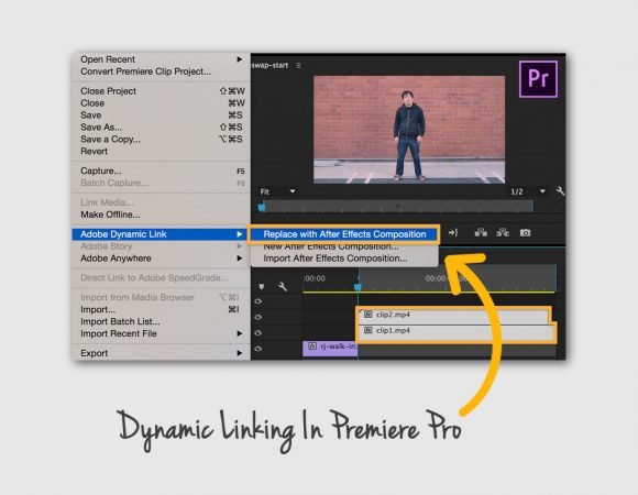 INFOGRAPHIC - Difference Between Premiere Pro & After Effects