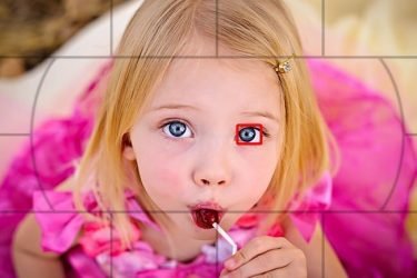 Autofocus Points (AF Points) In Your Camera - An Easy Guide